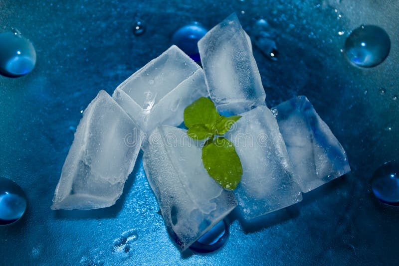 Ice Mint. Frozen Fresh Mint in an Ice Cubes Stock Image - Image of ...