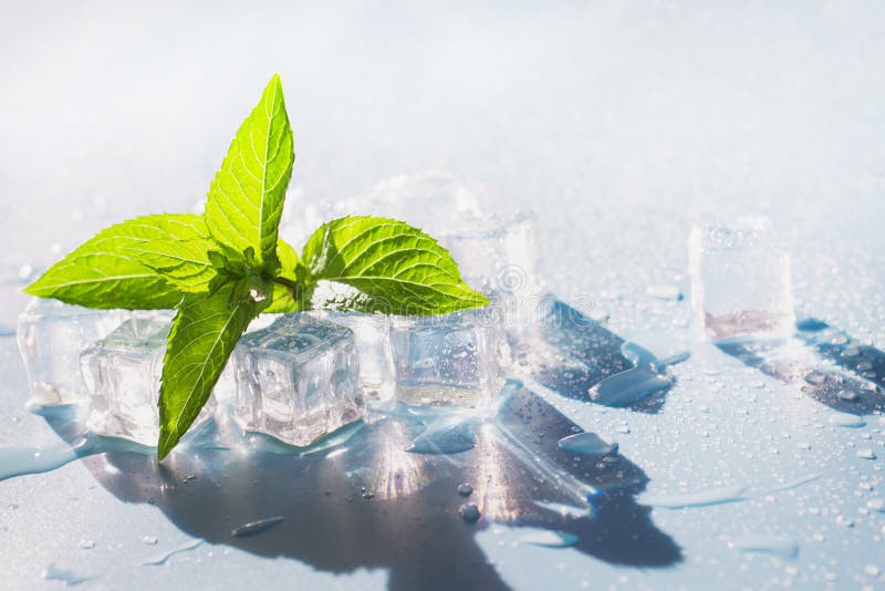 Ice with Mint on Blue. Summer Fresh Concept Stock Photo - Image of ...