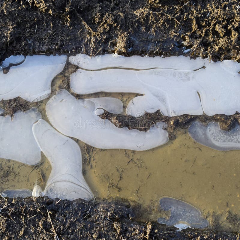 Ice on a Muddy Puddle on a Dirt Road Stock Photo - Image of snow ...