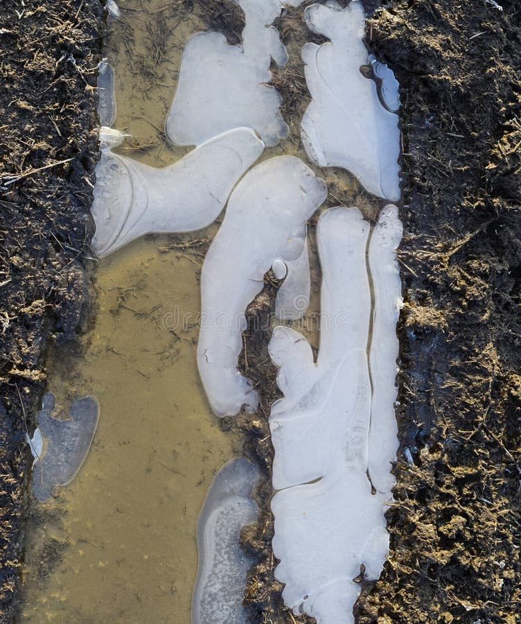 Ice on a Muddy Puddle on a Dirt Road Stock Photo - Image of snow ...