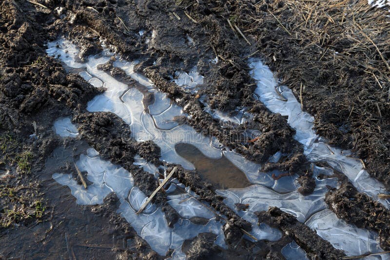 Ice on a Paddle on the Ground Stock Image - Image of frozen, ground ...