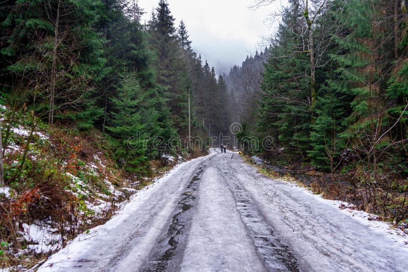 Ice path in the forest stock image. Image of snow, path - 231833041