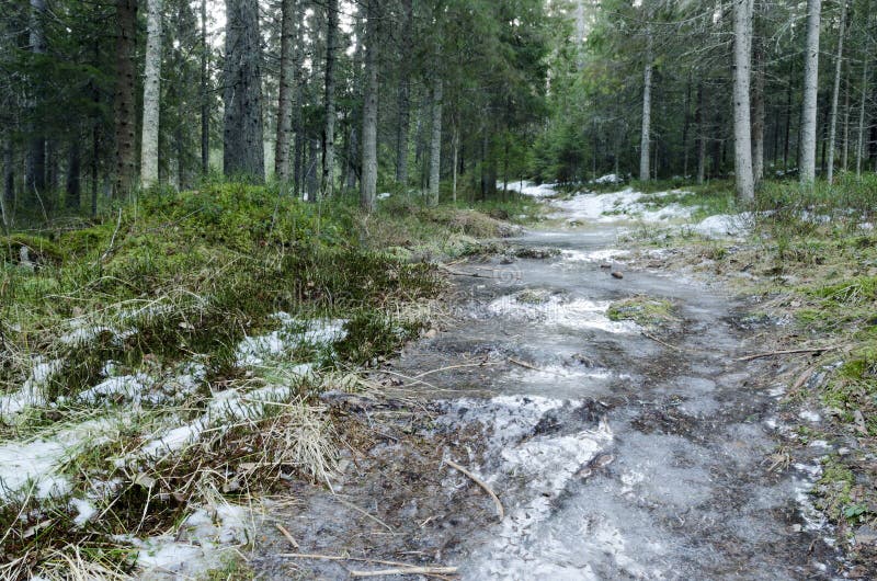 Ice path stock photo. Image of cold, snow, environment - 64989706