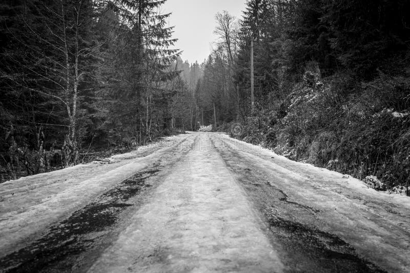 Ice path in the forest stock image. Image of white, blue - 231833099