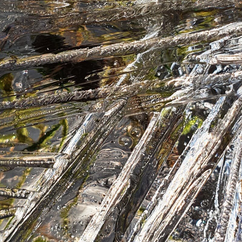 Ice Pattern on a Shallow Puddle of Water Stock Image - Image of ...