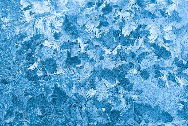 Jack Frost Ice Crystal Patterns & Snowy Spruce Stock Image - Image of ...