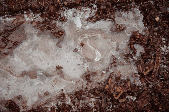 Ice Patterns on the Ground Resulting from Freezing. Pattern Stock Image ...
