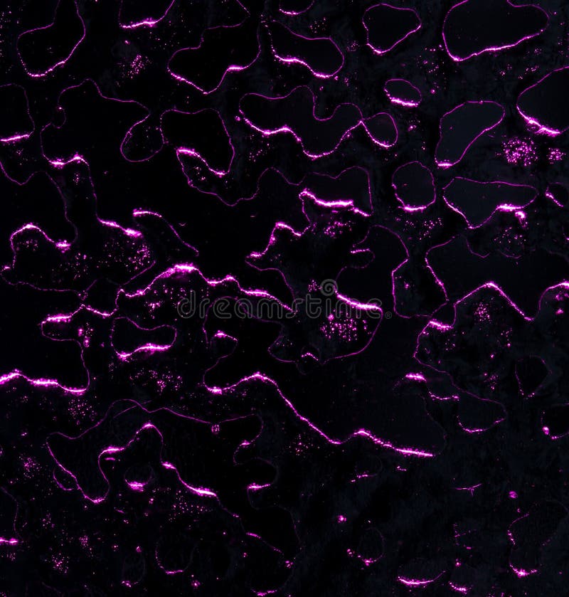 Ice on Pink Glass As Abstract Background Stock Image - Image of fashion ...