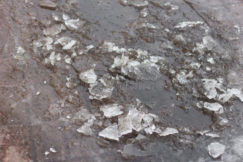 Ice in a Puddle. Pieces Frozen Water Morning Stock Photo - Image of ...