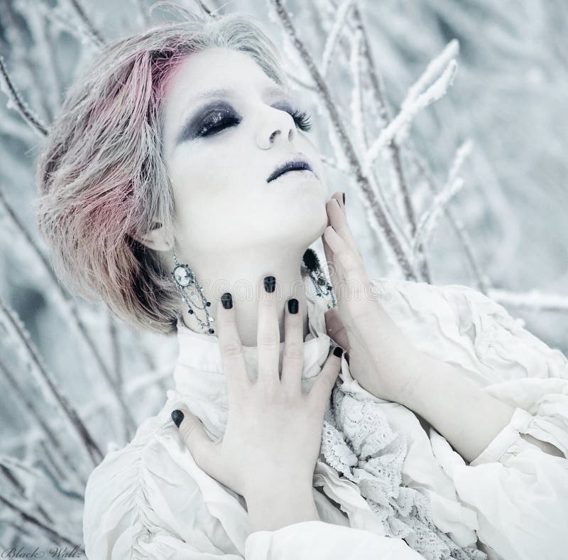 Ice queen stock photo. Image of glamorous, concept, dream - 18095006