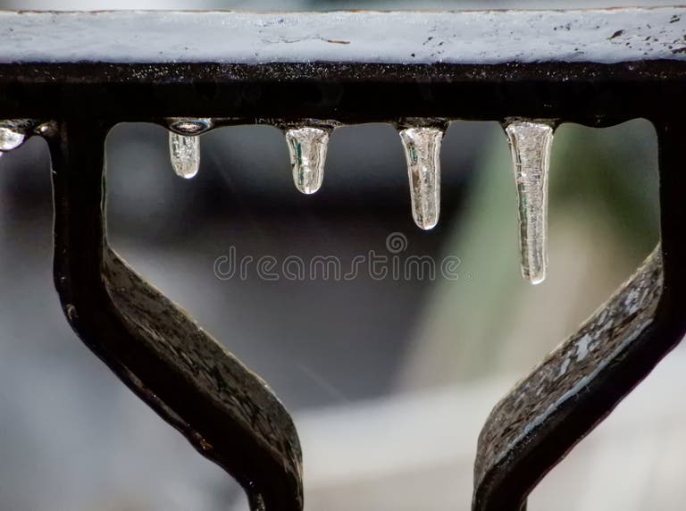 Ice on the railing stock photo. Image of plants, outside - 122686374