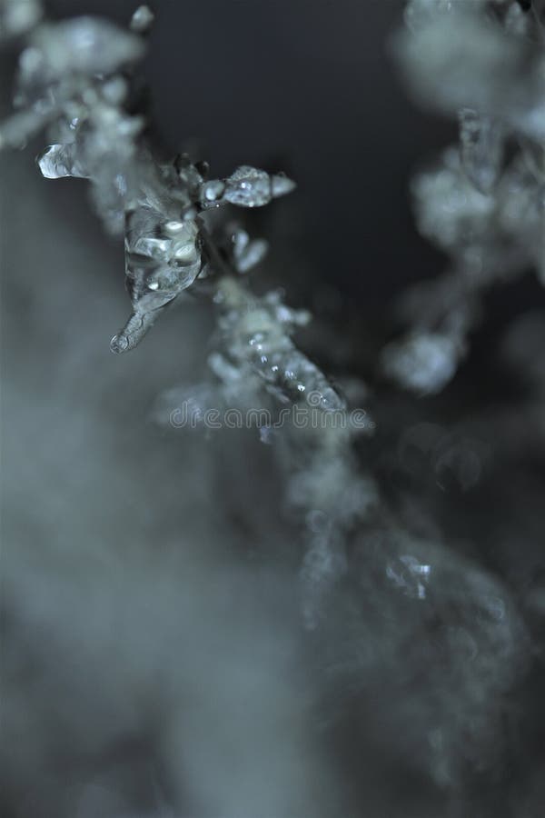 Ice rain stock photo. Image of rain, details, frozen - 28366792