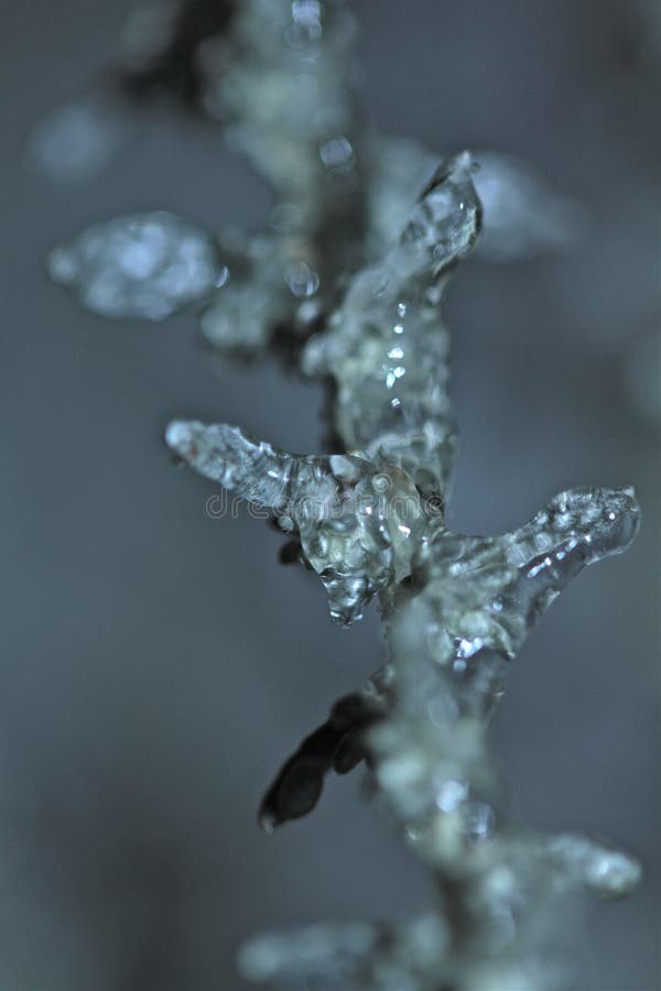 Ice rain stock photo. Image of details, crystal, layer - 28366794