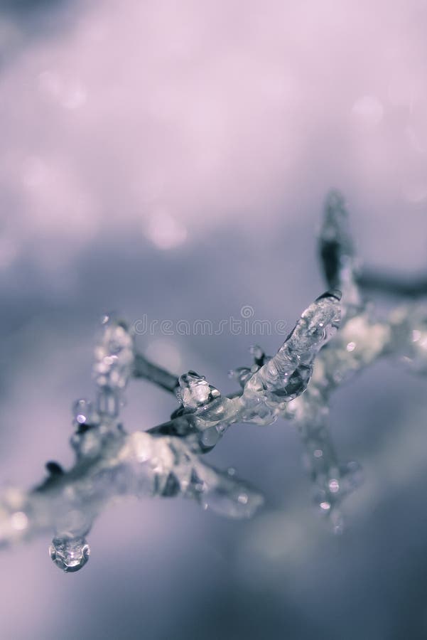 Ice rain stock image. Image of frozen, frost, layer, rain - 30790291