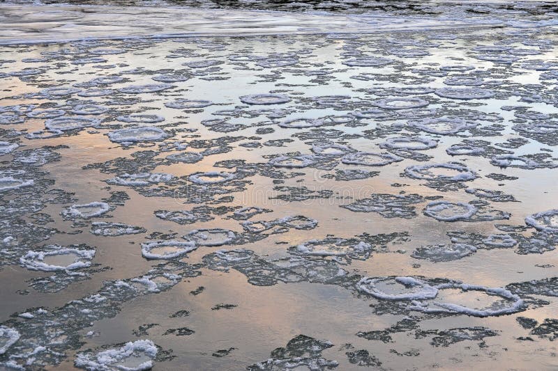 Grease Ice stock image. Image of grease, coast, antarctica - 12981655