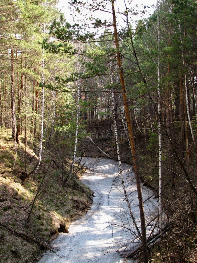 Ice river in the forest stock image. Image of flowing - 94389901