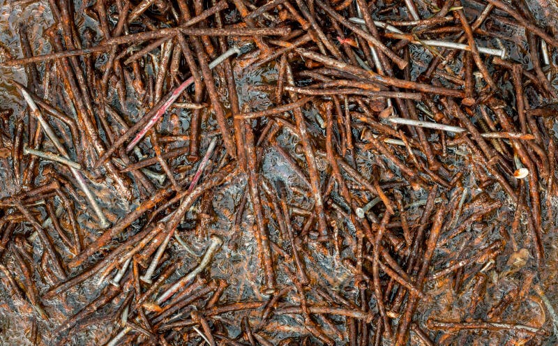 Ice Rusty Nails stock photo. Image of rust, carpentry - 72869274