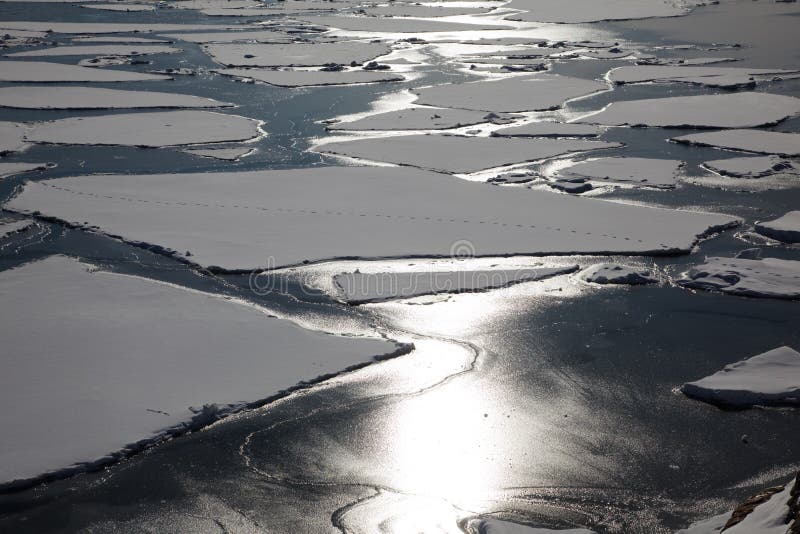 Ice sheets stock photo. Image of arctic, glacier, shore - 13309012