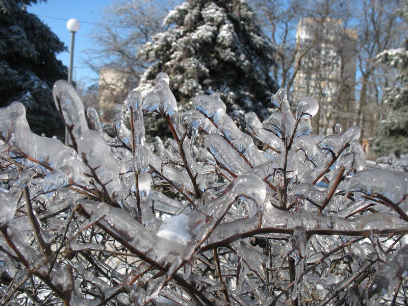 In the ice shell stock image. Image of reflection, sparkle - 37576387