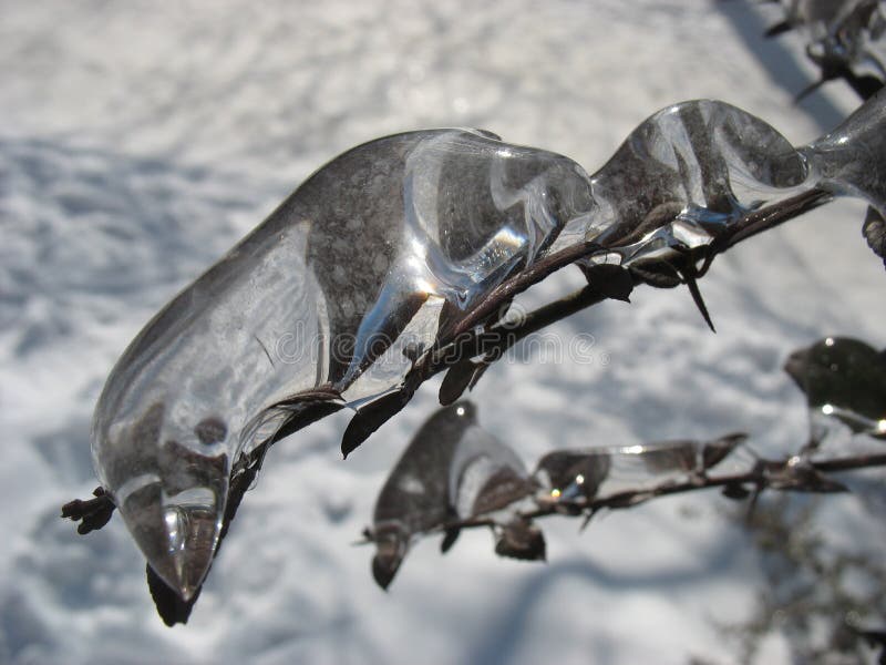 In the ice shell stock image. Image of snow, freeze, shell - 37576455