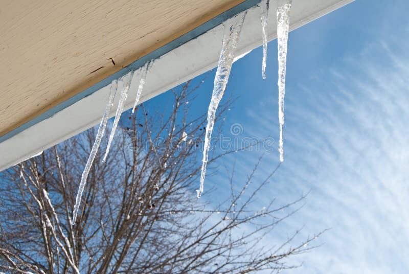 Ice Sickles stock image. Image of tree, paint, sickles - 13080593