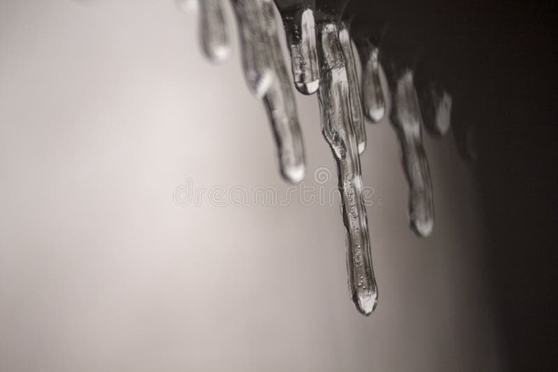 Ice sickles stock photo. Image of round, cold, monochromatic - 77560984