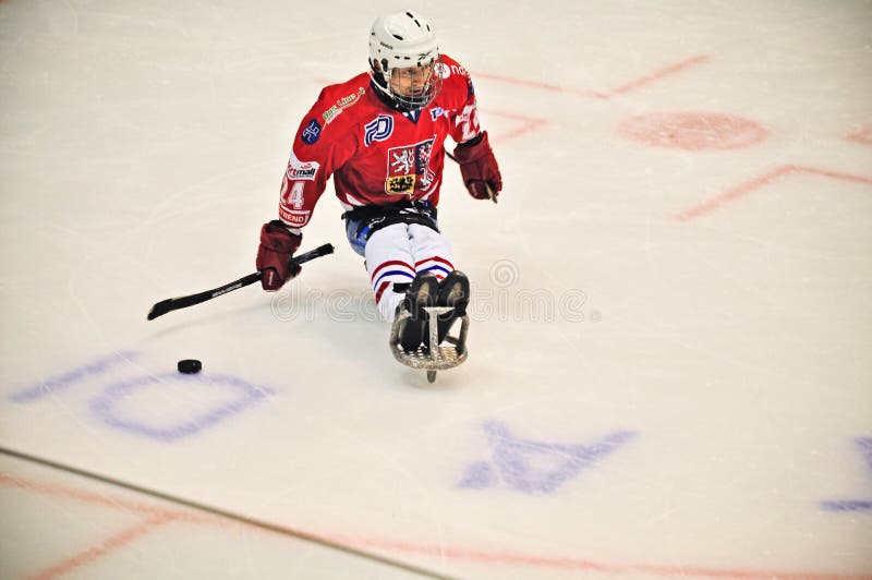 Ice Sledge Hockey editorial photography. Image of action - 23631277