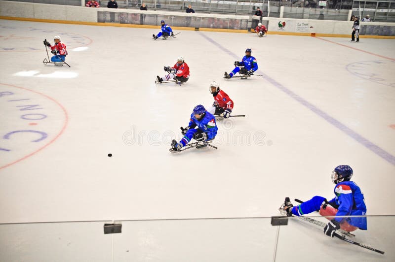Ice Sledge Hockey editorial stock image. Image of piemonte - 23631139