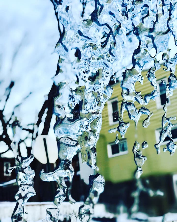 Snowymorning Stock Photos - Free & Royalty-Free Stock Photos from ...