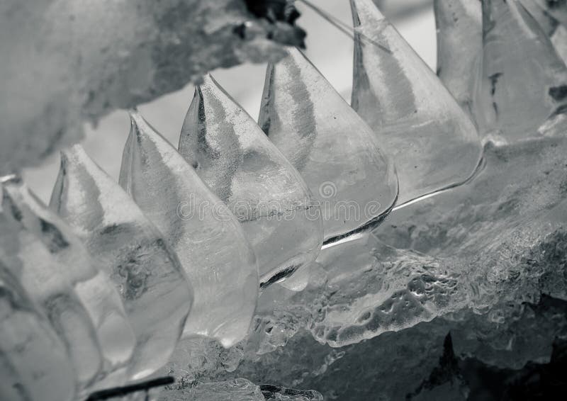 Ice Stalagmites on Winter River Bank Stock Image - Image of snow ...