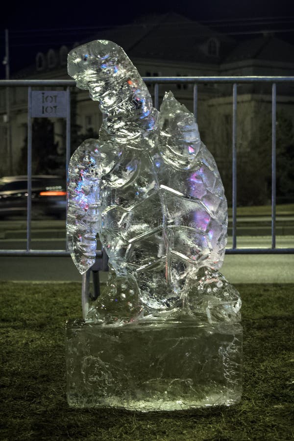 Ice Statue of Back Side of Turtle Editorial Stock Image - Image of ...