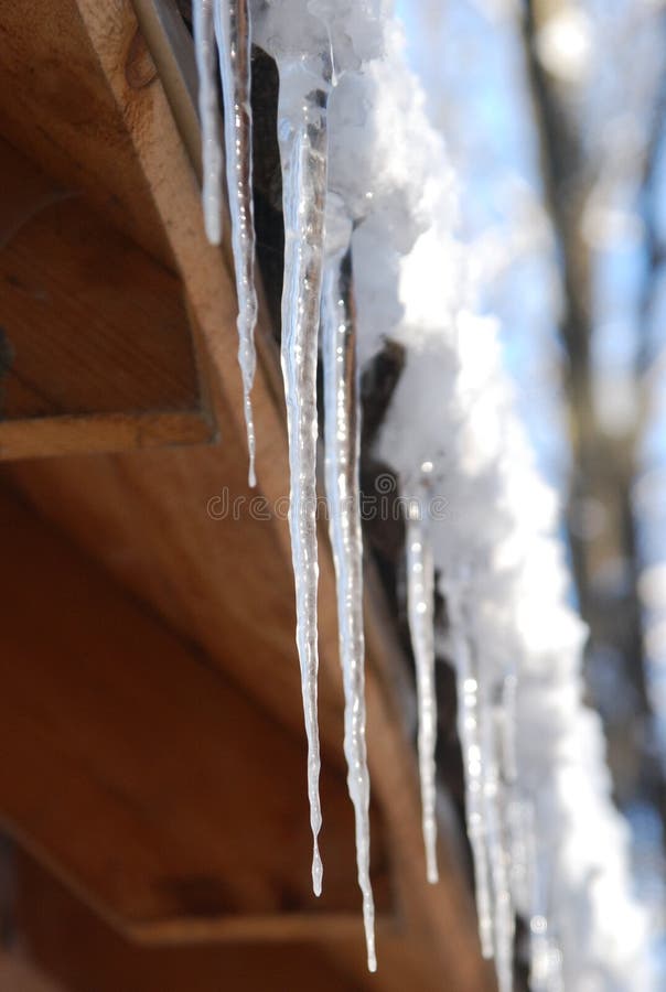Icicles stock photo. Image of point, icicle, single, water - 51780160
