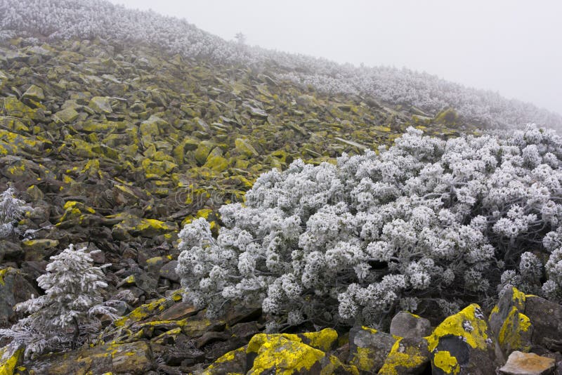 Ice and Stone stock image. Image of land, scenics, mountain - 24643687
