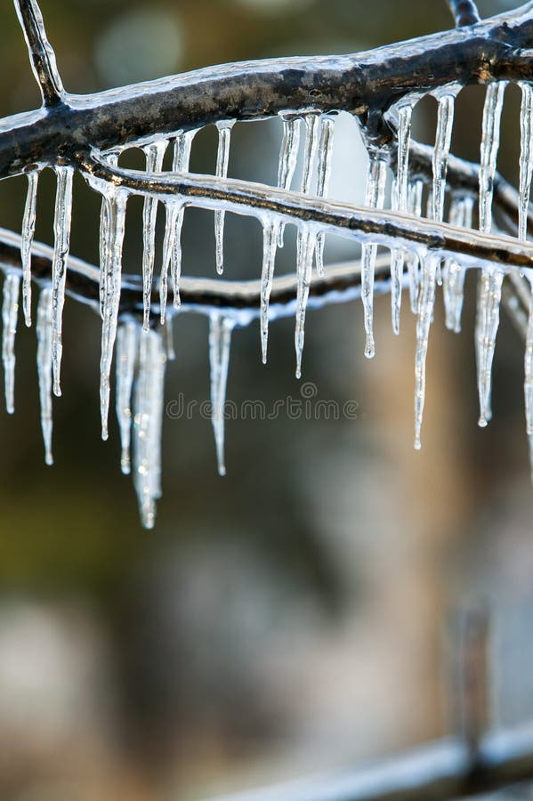 Ice Storm stock photo. Image of cold, damage, rain, icier - 37936682