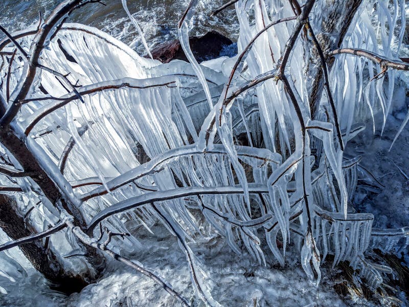 An Ice Storm Covers Tree Branches with Thick Ice and Icicles. Stock ...