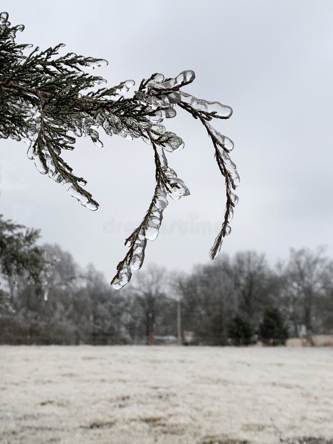 An Ice Storm Has Covered Eastern Oklahoma in a Thick Layer of Ice Stock ...