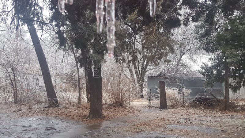 Ice storm stock photo. Image of winter, beautiful, storm - 114873564