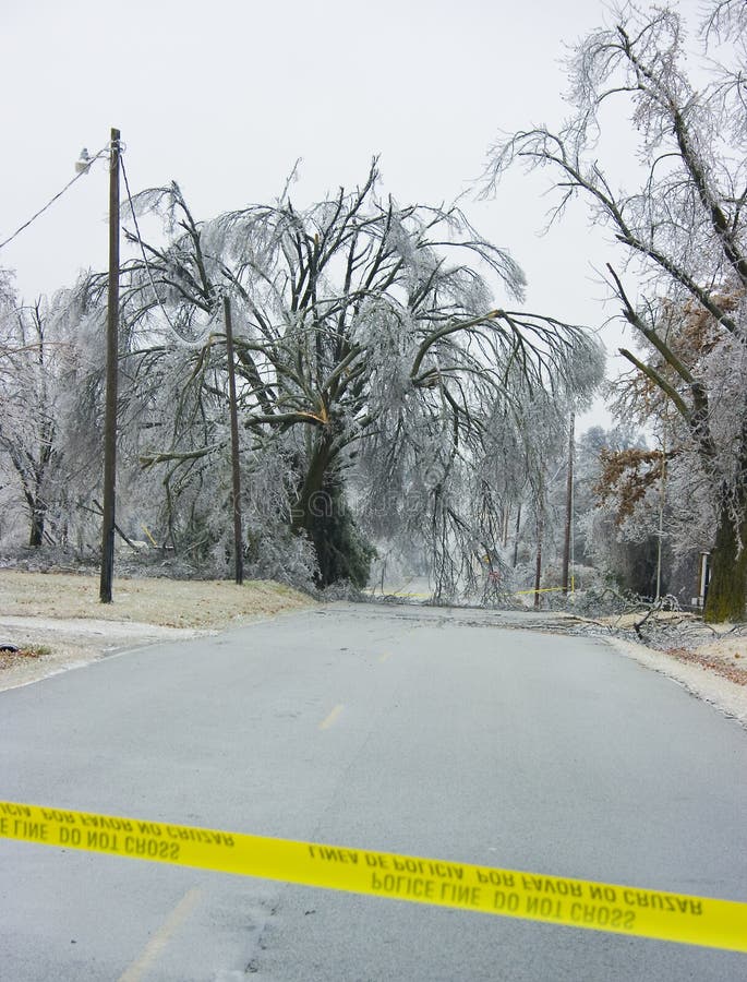 Ice Storm Road Block stock photo. Image of tree, storm - 7429578
