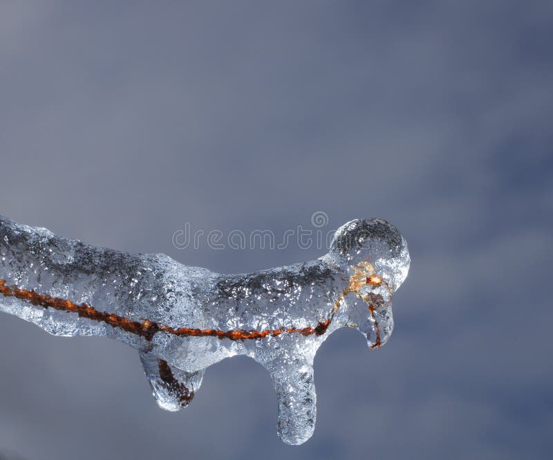 After the ice storm stock photo. Image of gray, grey - 51046842