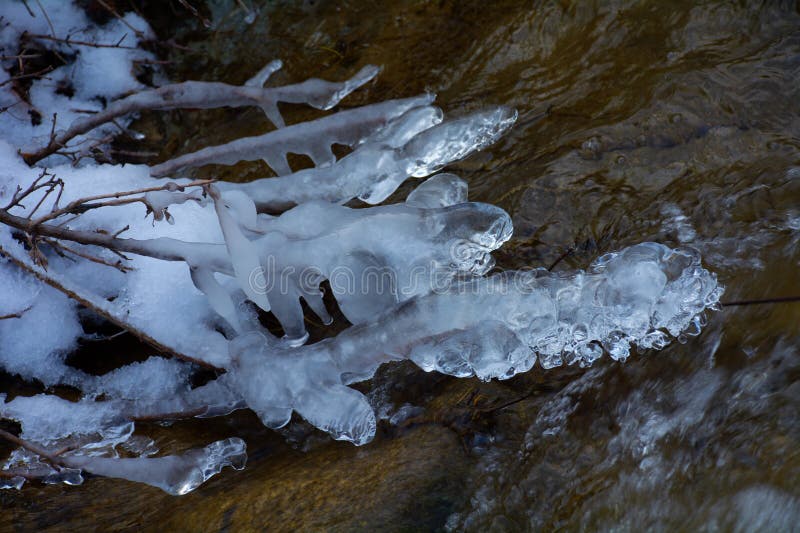 Ice Stuck To Branches in the River Stock Photo - Image of leaf ...
