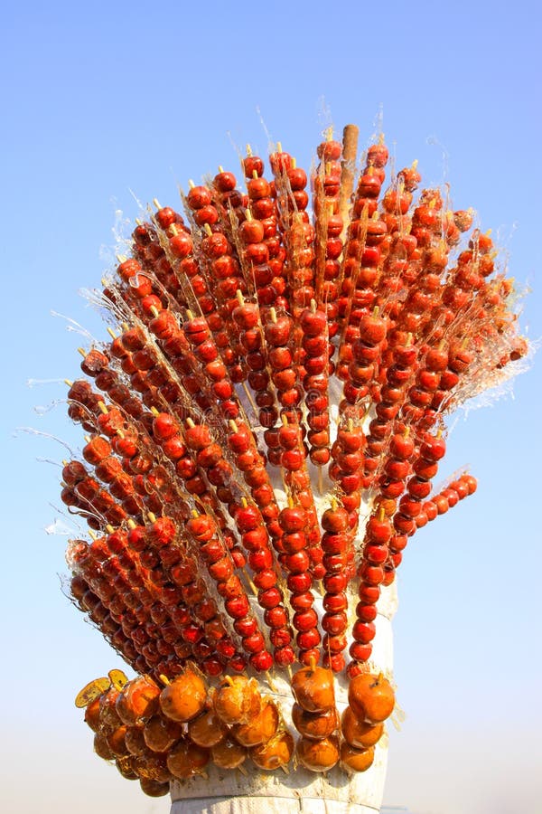 Ice-sugar gourd stock image. Image of berry, life, china - 22939925