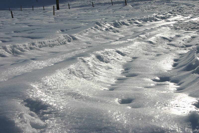 Ice Surface Picture. Image: 431009