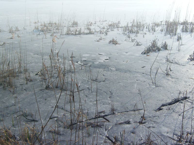 Ice surface of lake stock photo. Image of landshavt, crack - 51542212