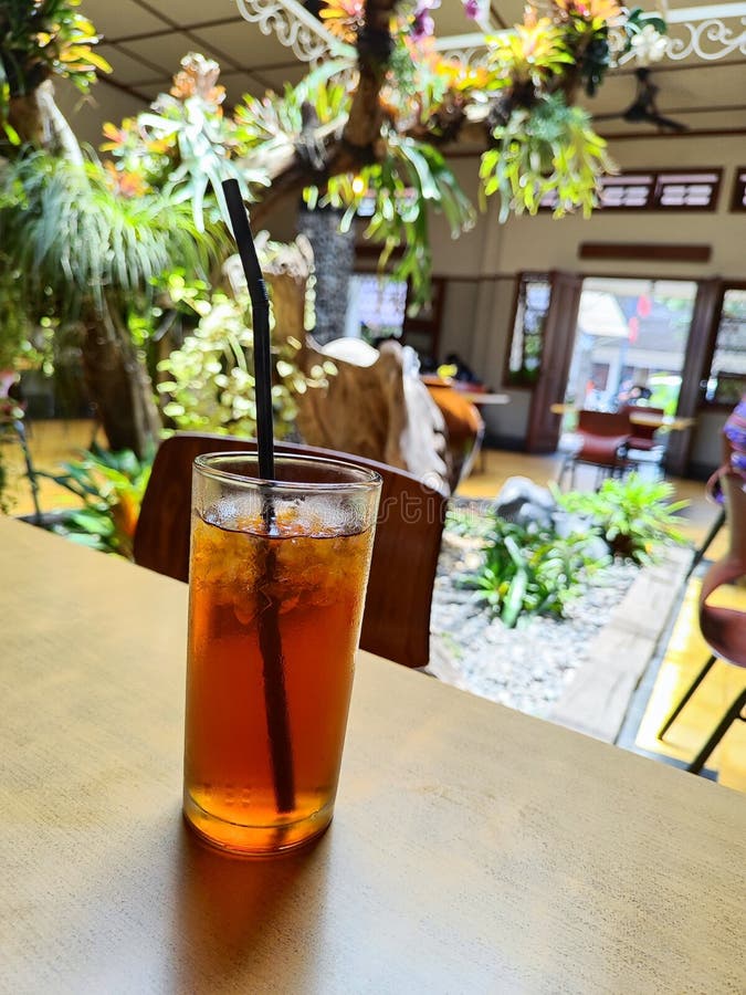 Ice Tea with Beautiful Indoor Garden Stock Image - Image of indoor ...