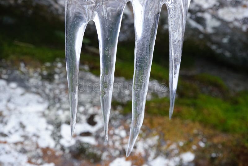 Ice Teeth Near Whinter River Stock Image - Image of icicle, landscape ...