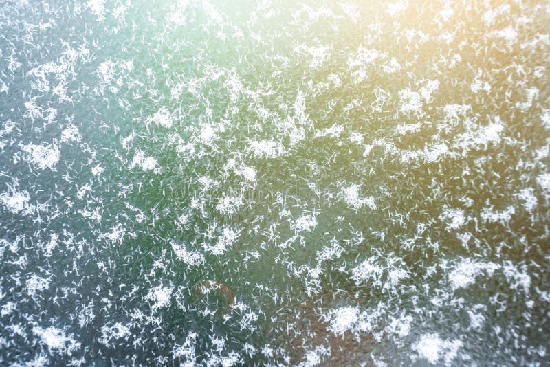 Ice Texture with Frost Crystals. Winter Background Stock Image - Image ...