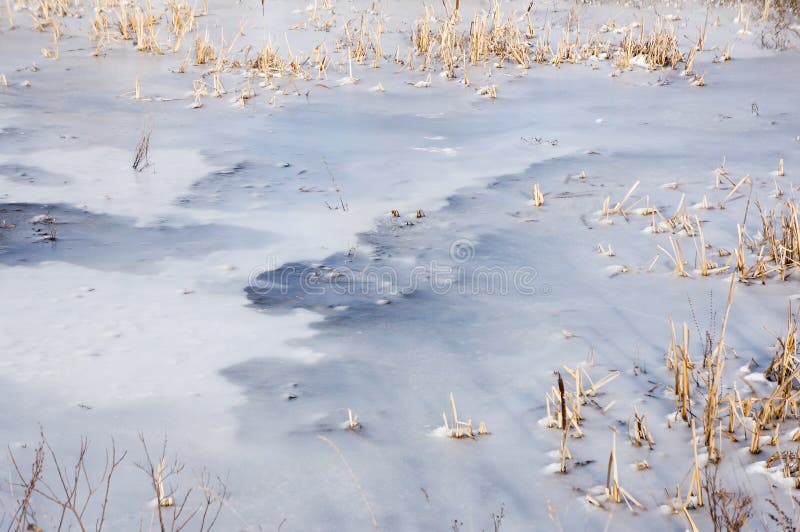 Ice texture stock image. Image of beautiful, field, forest - 176023829