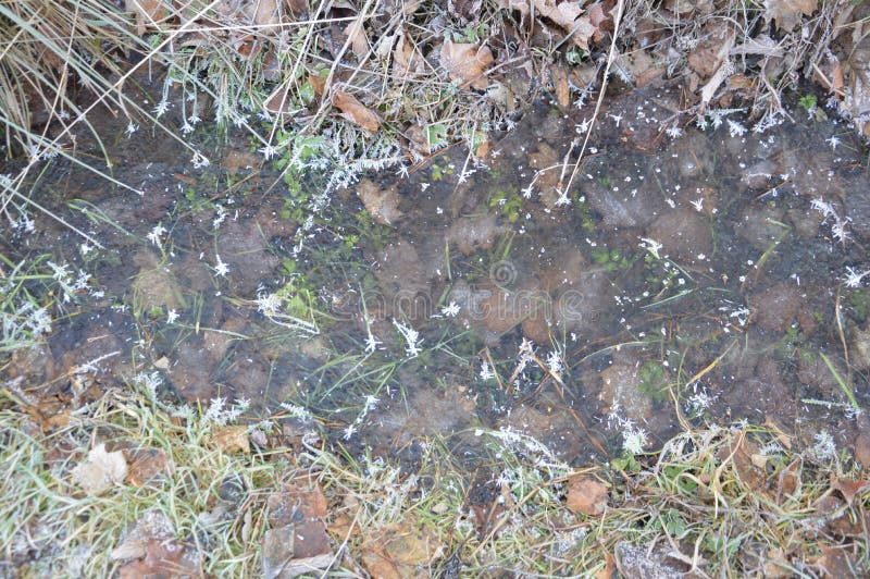 Ice Texture on the Ground Winter Patterns Stock Image - Image of gray ...