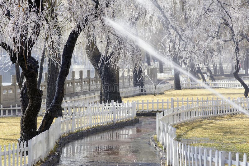 Ice tree stock image. Image of footway, chillness, tree - 18929259