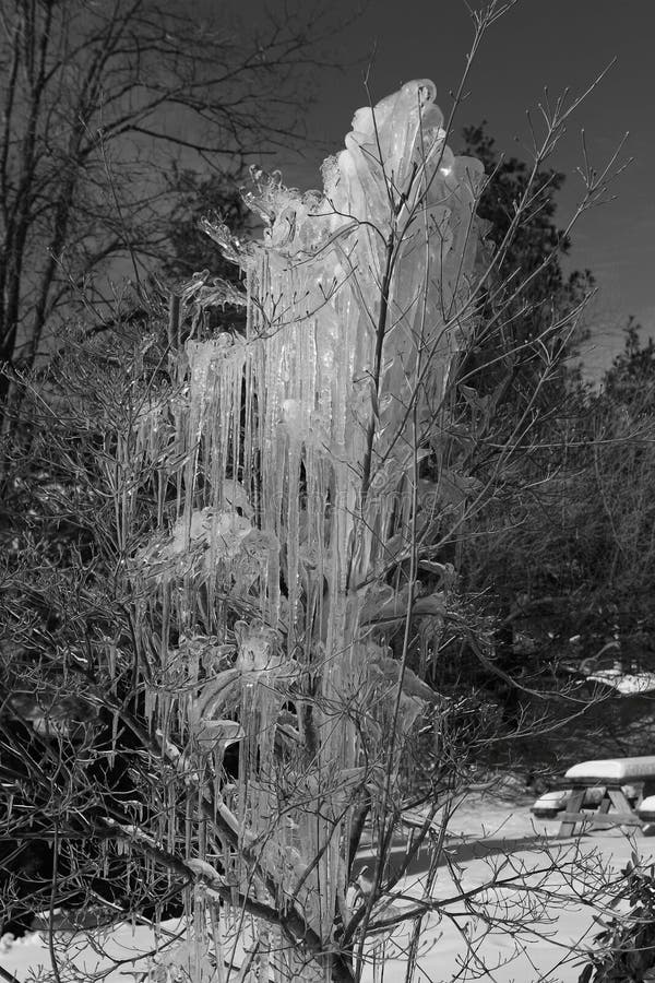 Ice Tree Sculpture stock photo. Image of ecology, stark - 7877144